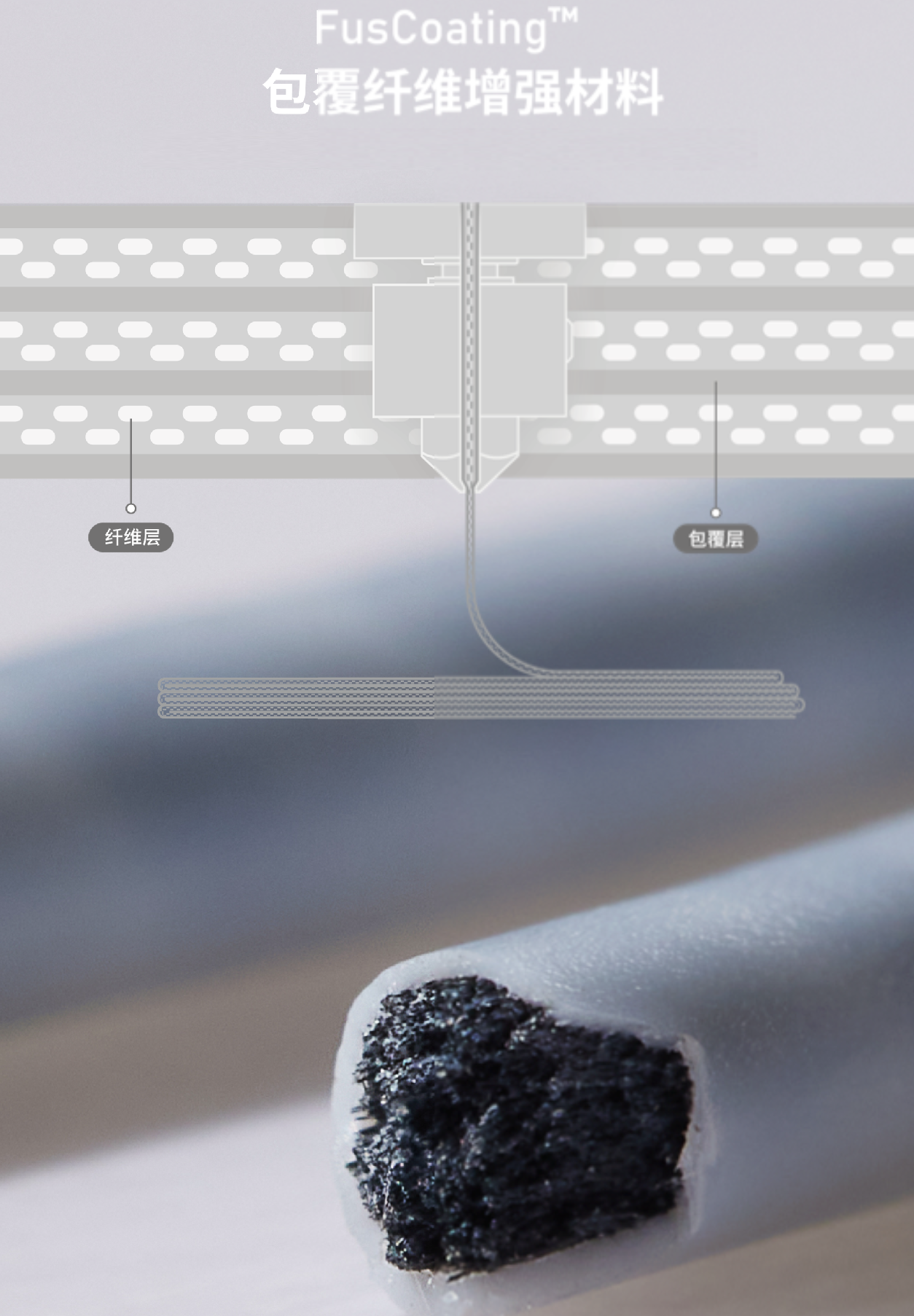 首页 | FusRock Wiki - Beta2608001